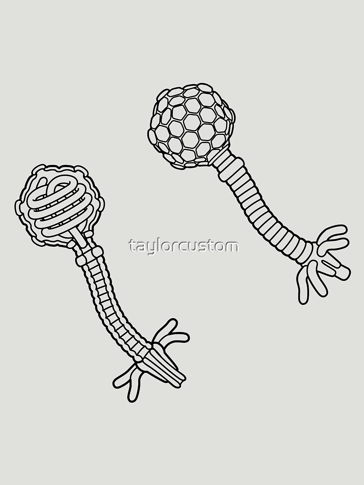 "Lambda Bacteriophage Line Drawing" T-shirt by taylorcustom | Redbubble