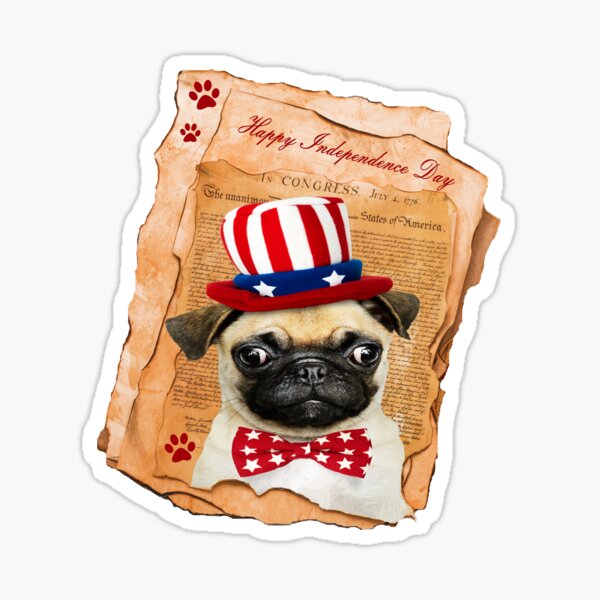"Independence Day July 4th, Declaration of Independence, Patriotic Pug ...