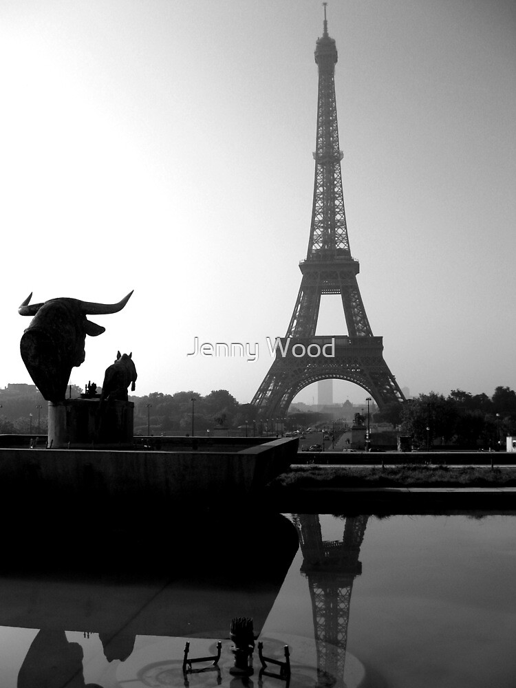 "A bullseye view" by Jenny Wood | Redbubble