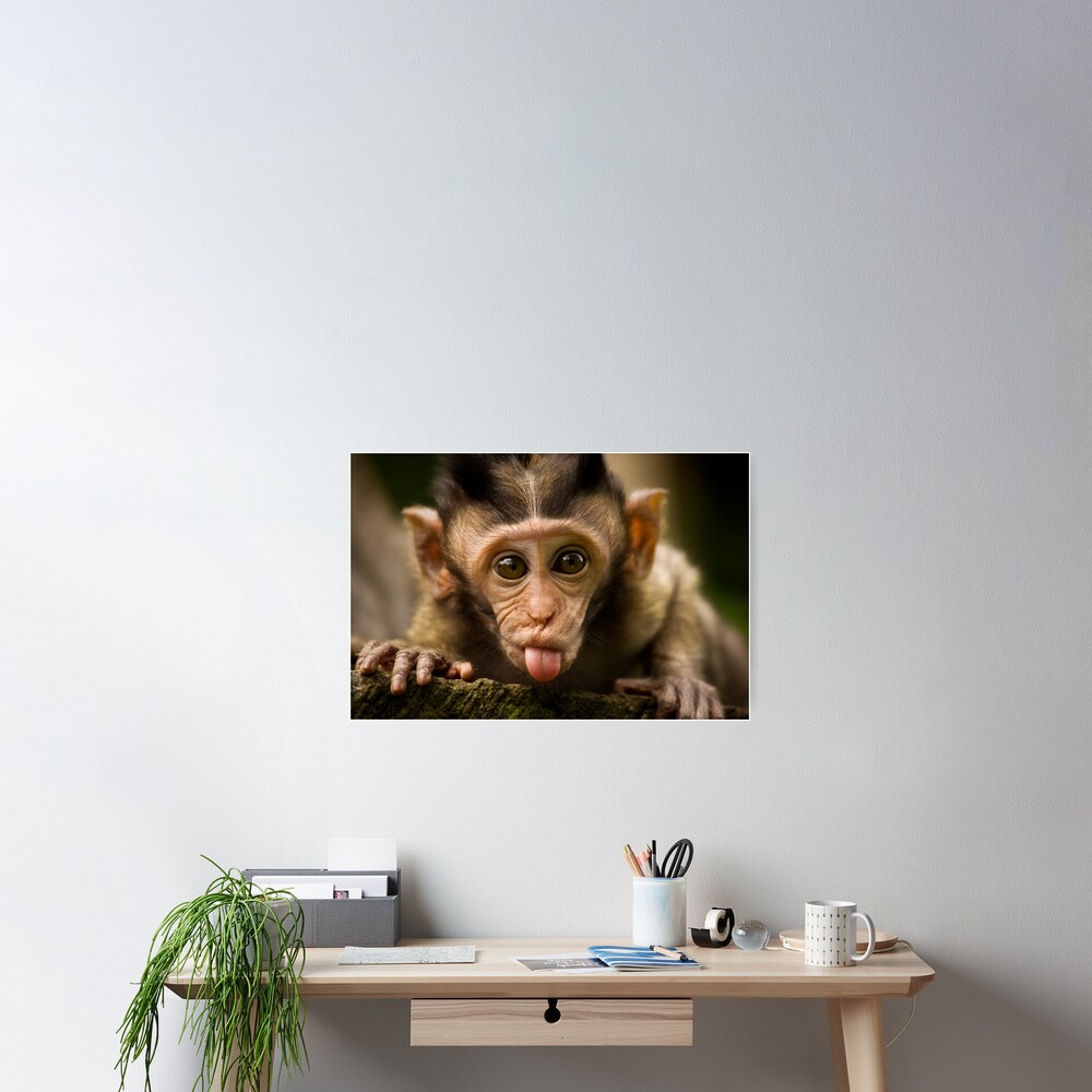 "Rude Monkey Sticking Out Tongue" Poster for Sale by liefranky | Redbubble