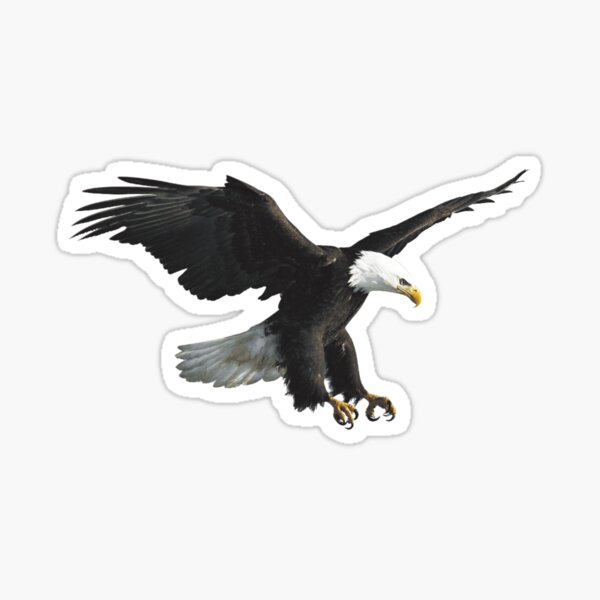 "Eagle sport Lisboa e Benfica - SLB" Sticker for Sale by JV21 | Redbubble