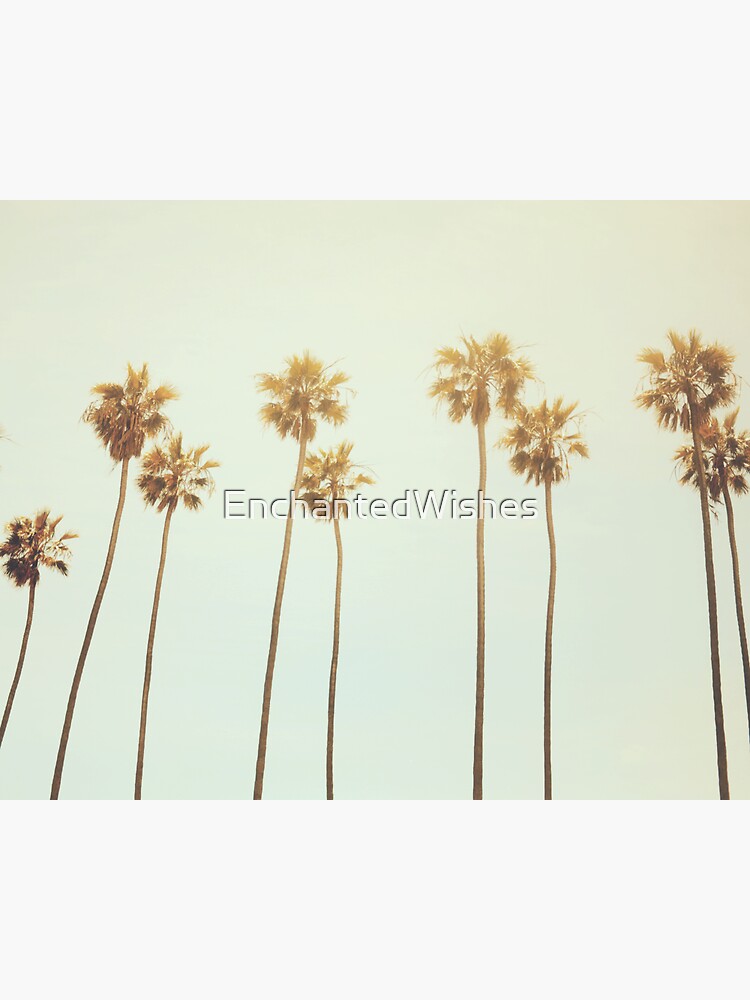 "Palm Trees Retro Photo Print, Tropical Photography Art, Vintage Photo ...