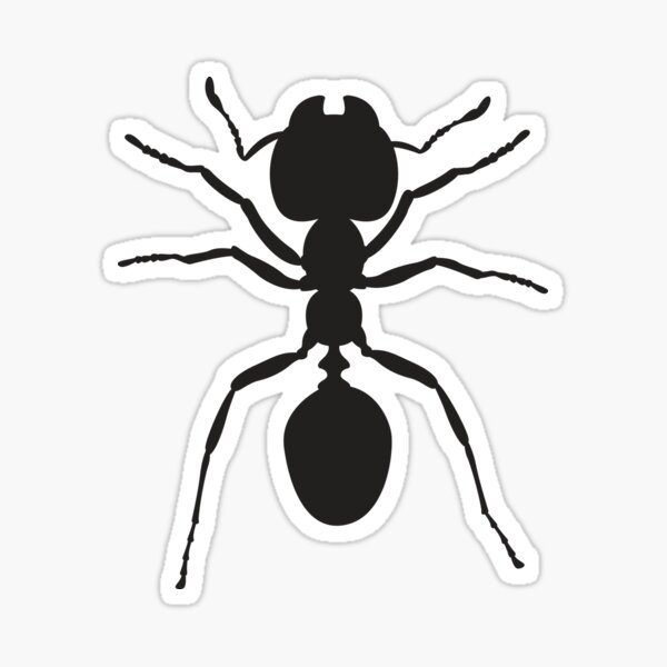"Ants ant gift insects animals nature" Sticker for Sale by Franja2 | Redbubble