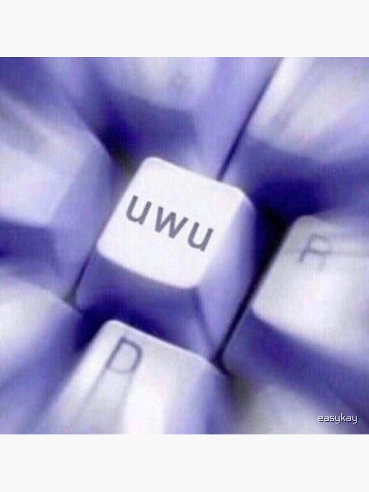 "uwu keyboard zoom sticker" Sticker for Sale by easykay | Redbubble