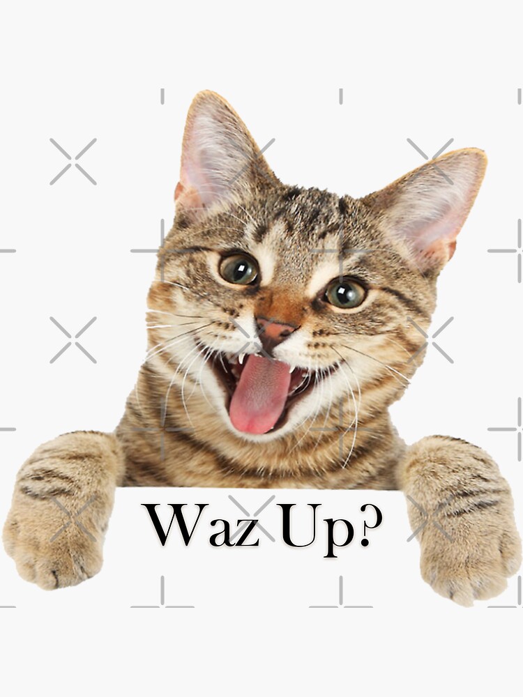 "Waz Up? - Tabby Cat" Sticker by Pam069 | Redbubble