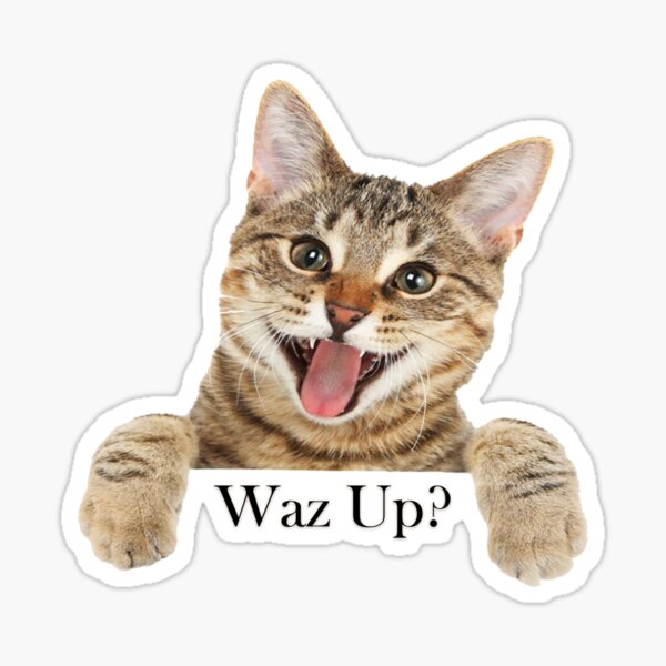 "Waz Up? - Tabby Cat" Sticker by Pam069 | Redbubble