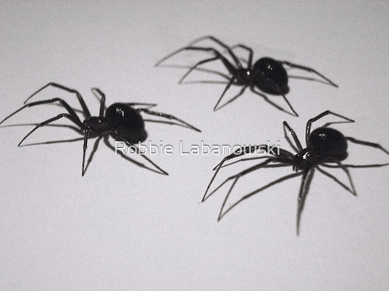 "Arachnophobia" by Robbie Labanowski | Redbubble