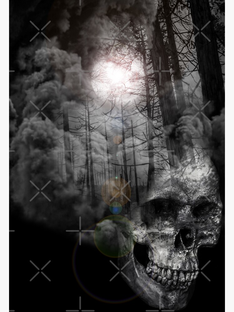 "Skull Forest" Sticker for Sale by CobaltCrows | Redbubble