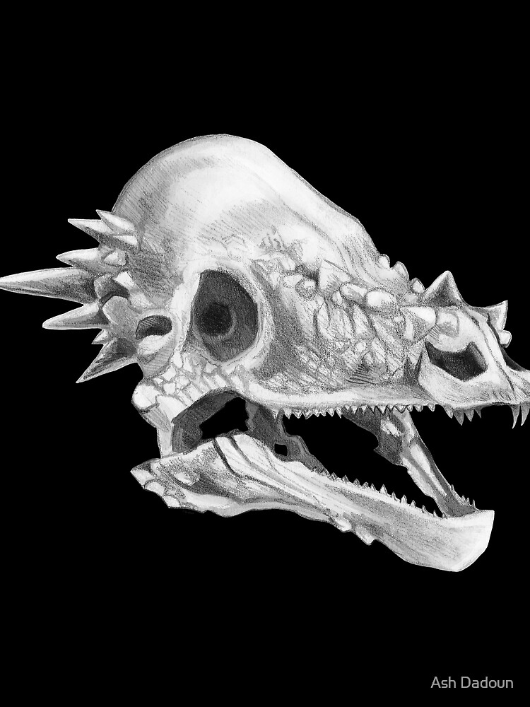 "Pachycephalosaurus skull" Scarf by e-pona | Redbubble
