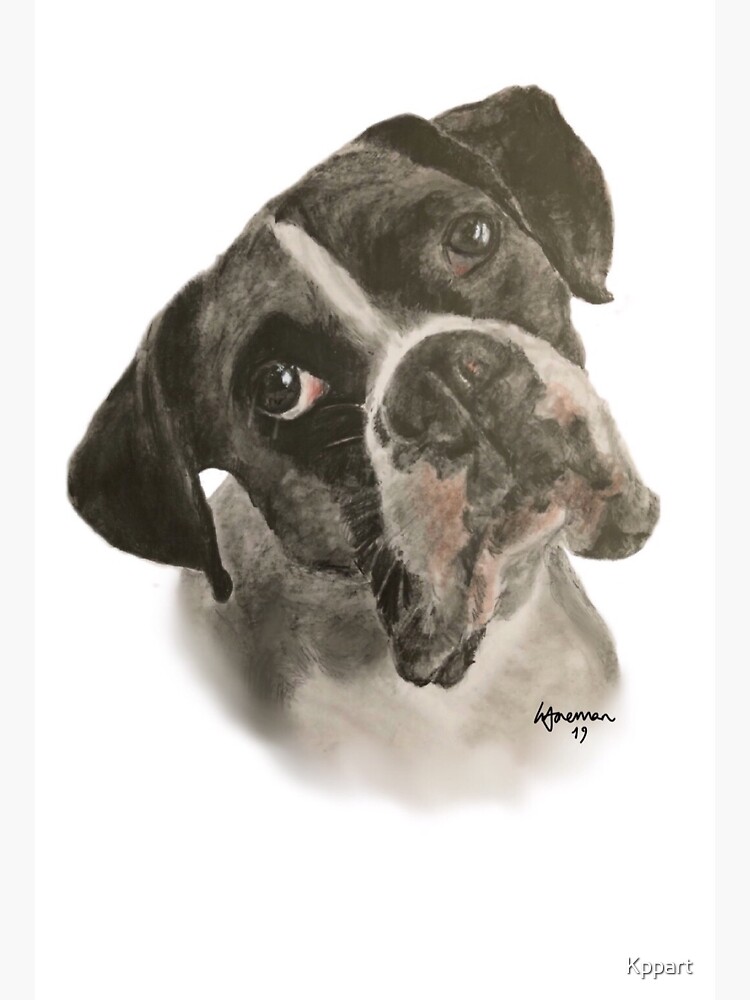 "Boxer head tilt" Sticker by Kppart | Redbubble