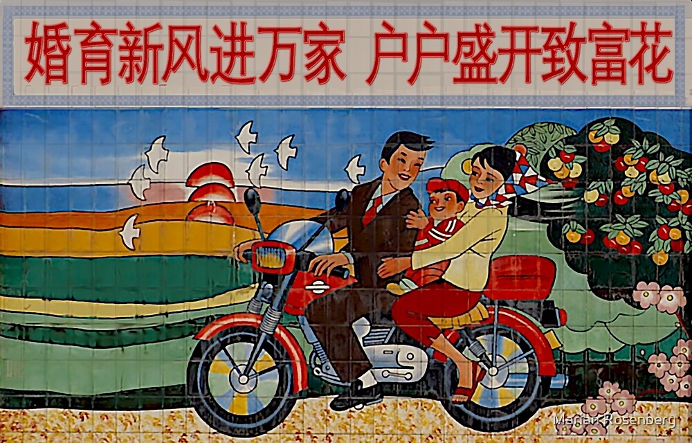 "Chinese One Child Policy New Marriage Style Propaganda 婚育新风进万家 户户盛开致富花 ...