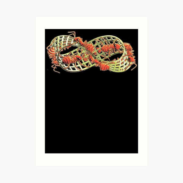 "Ants on the Mobius Strip (MC Escher)" Art Print for Sale by Golemware ...