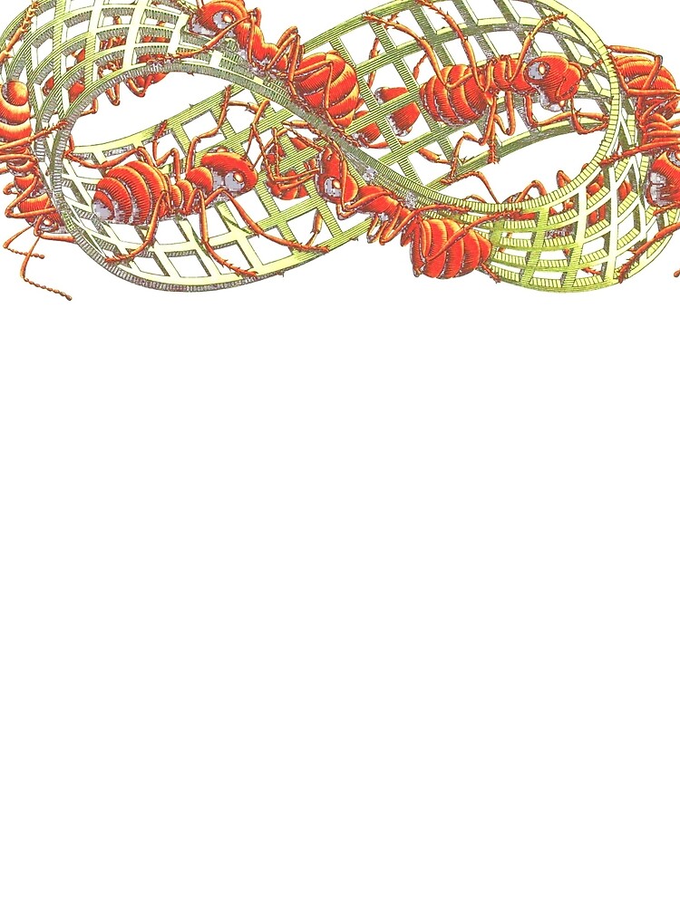 "Ants on the Mobius Strip (MC Escher)" Drawstring Bag for Sale by ...