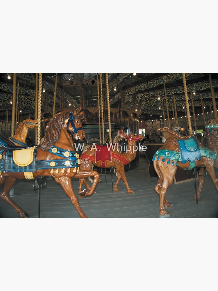 "Antique Carousel Camel II" Poster by WAWhipple | Redbubble