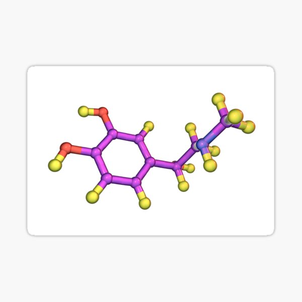"Epinephrine molecule, a hormone produced by adrenal gland" Sticker for ...