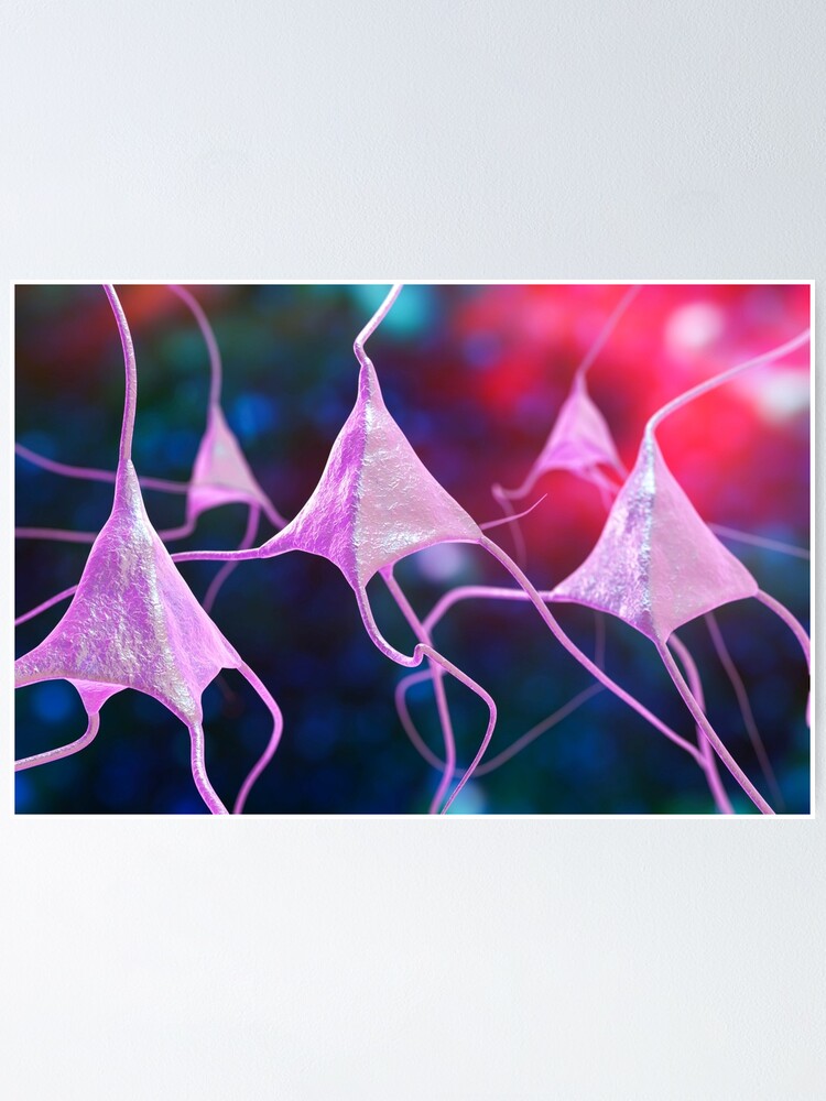 "Neuron, brain cell" Poster by DrMicrobe | Redbubble