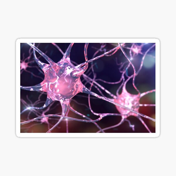 "Neuron, brain cell" Sticker for Sale by DrMicrobe | Redbubble