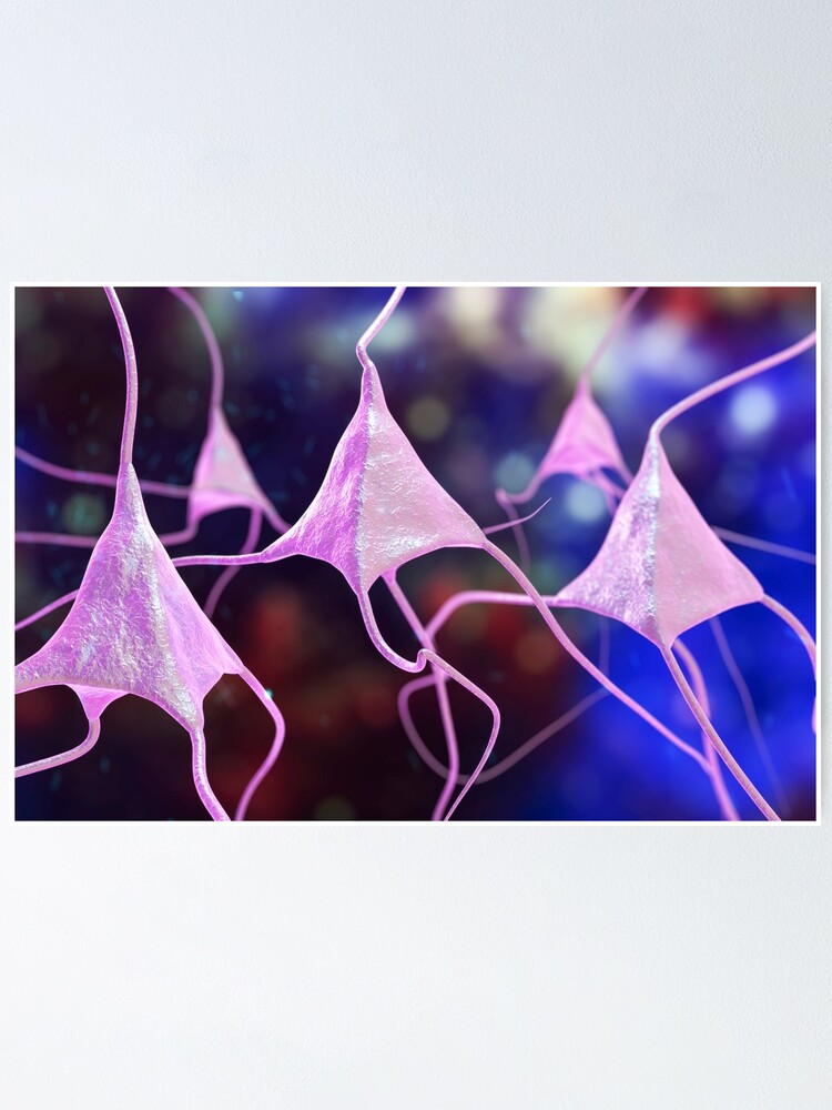 "Neuron, brain cell" Poster by DrMicrobe | Redbubble