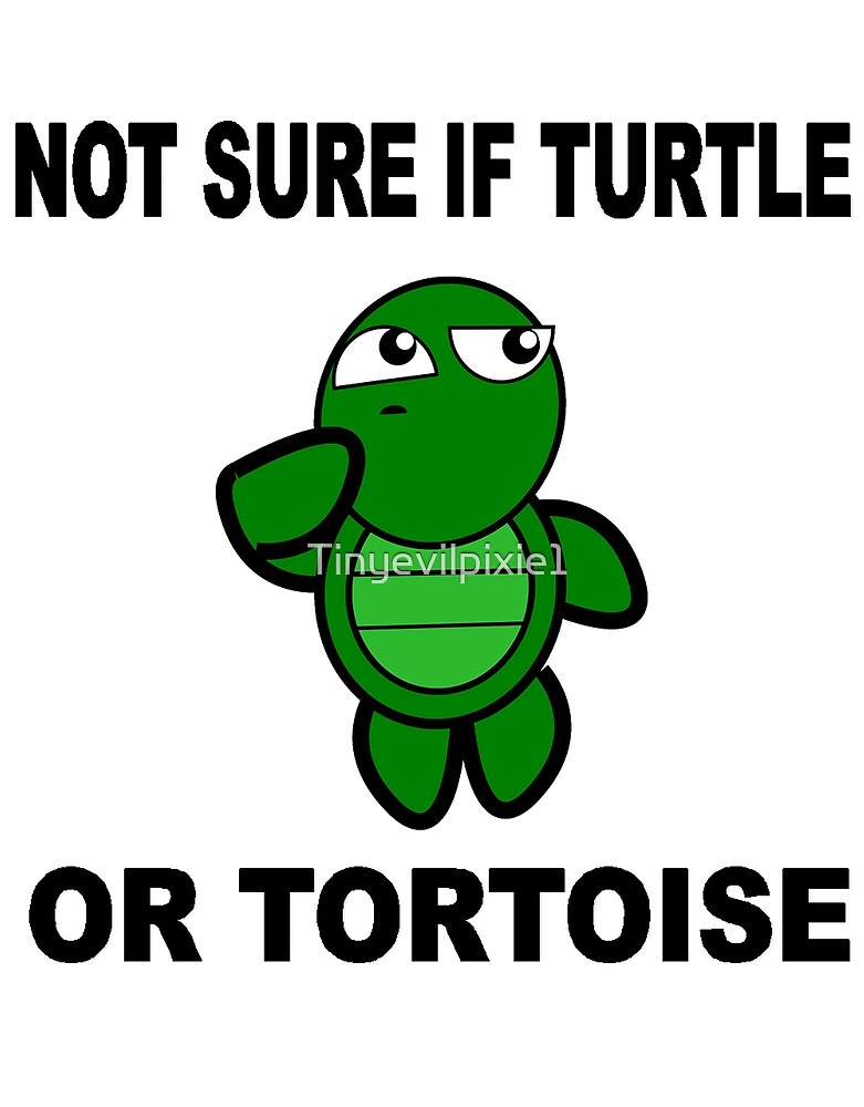 "Confused Turtle" by Tinyevilpixie1 | Redbubble
