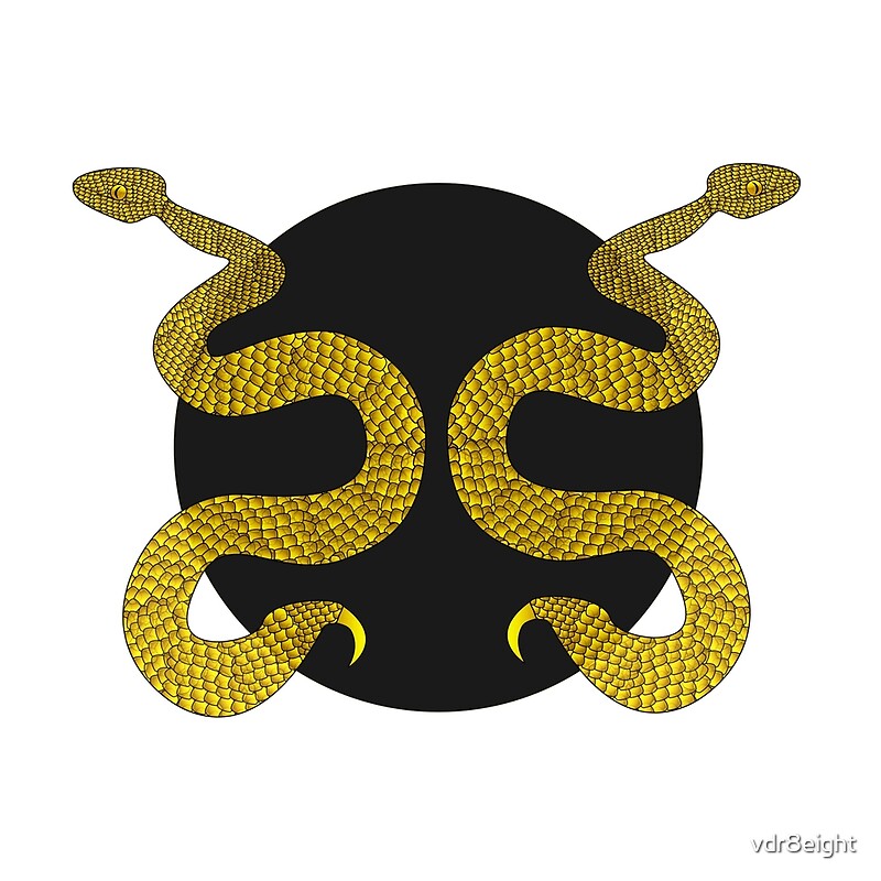 "Two snakes" by vdr8eight | Redbubble