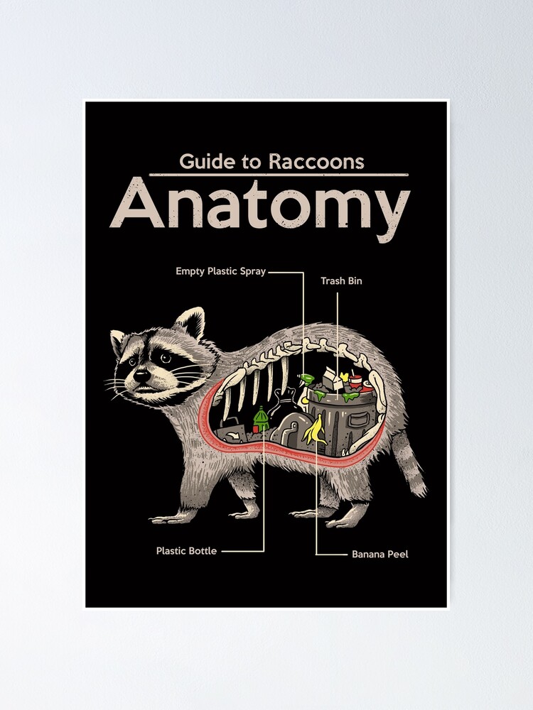 "Anatomy of a Raccoon" Poster for Sale by vincenttrinidad | Redbubble