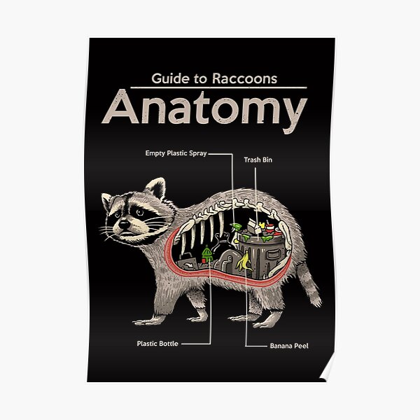 "Anatomy of a Raccoon" Poster for Sale by vincenttrinidad | Redbubble