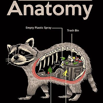 "Anatomy of a Raccoon" Poster for Sale by vincenttrinidad | Redbubble