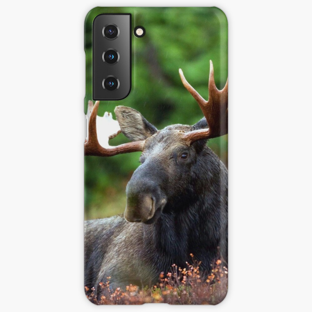 "Laying Moose" Samsung Galaxy Phone Case for Sale by CanonEOS | Redbubble