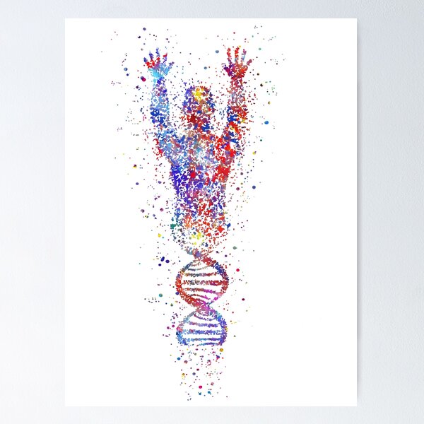 "Human body molecules, DNA molecule, DNA" Poster for Sale by ...