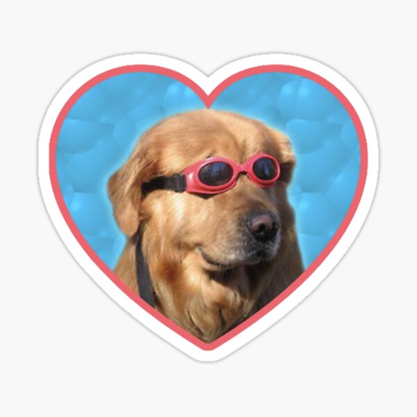 "Swimming Goggle Dog" Sticker by Biscuit25 | Redbubble