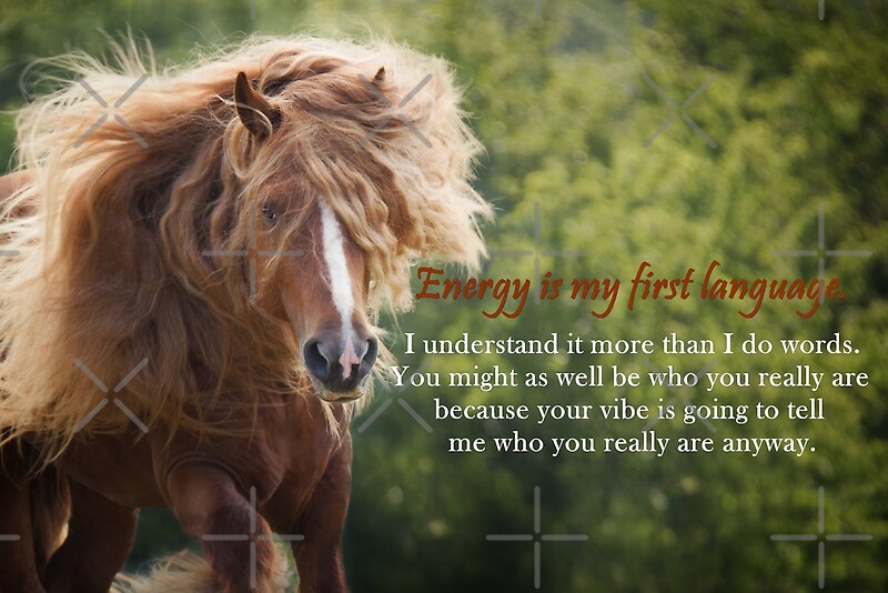 "Energy is my first Language" by Kristi Johnson | Redbubble
