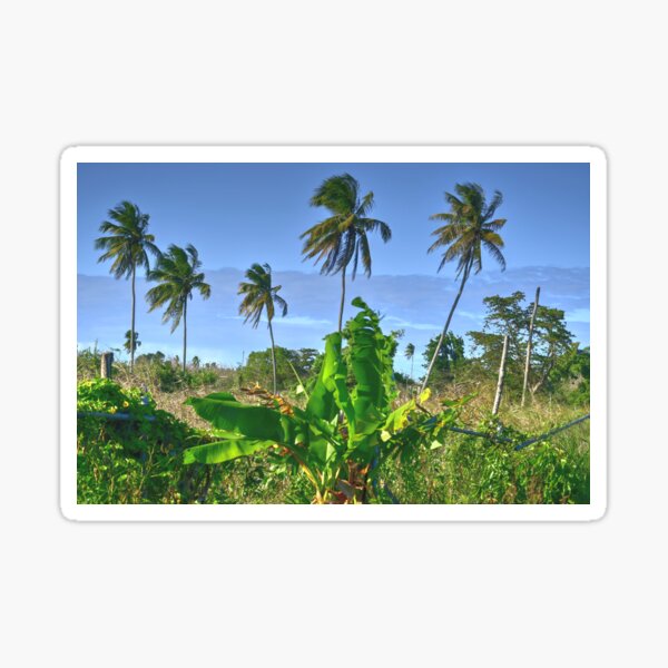 Pegatina «Isabela país en puerto rico» de raulgarcia314 | Redbubble