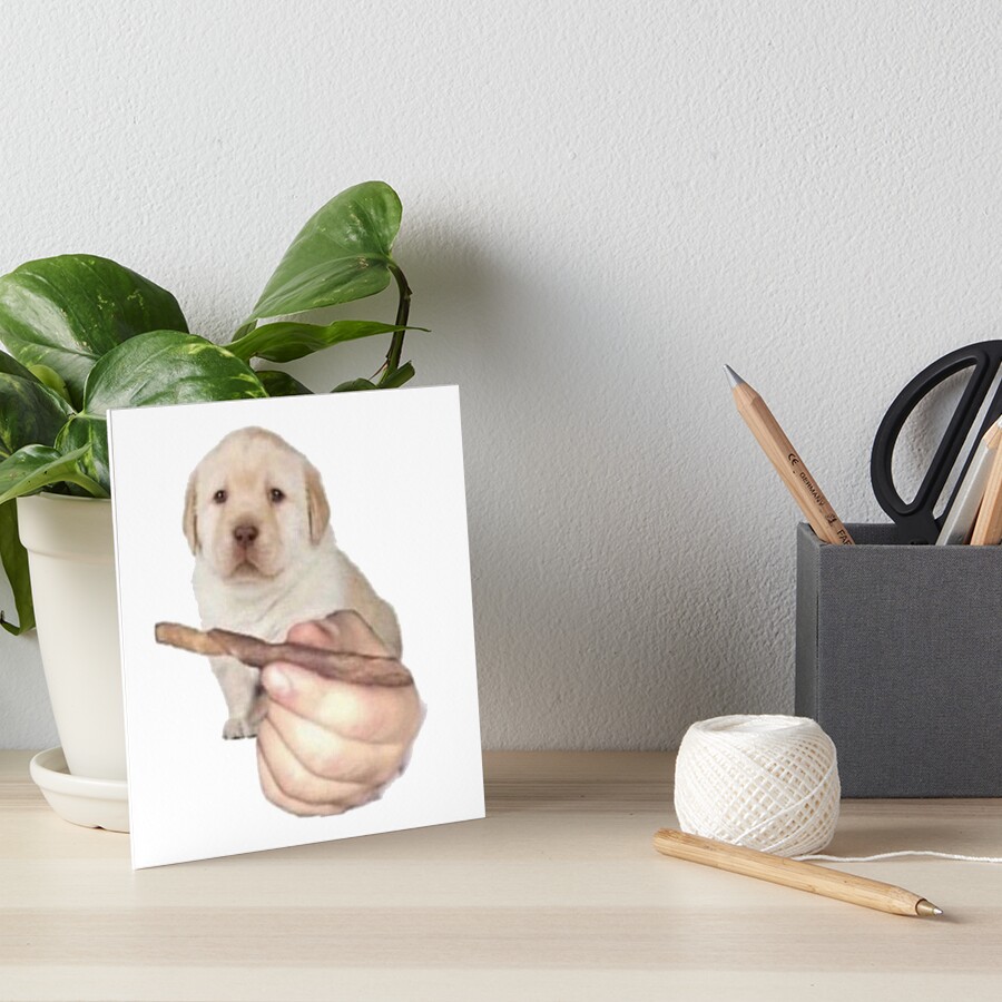 "Pass The Boof Dog Meme" Art Board Print by BoomerUSA | Redbubble