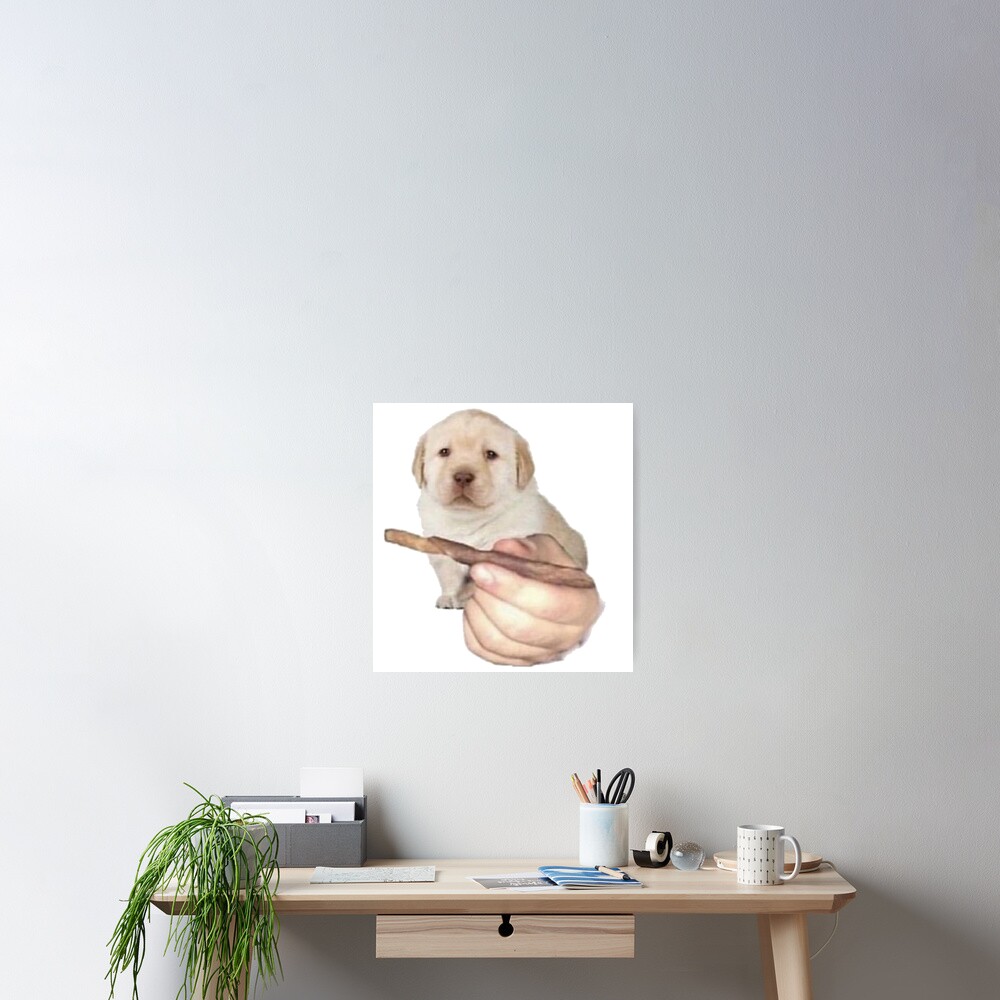"Pass der Boof Dog Meme" Poster von BoomerUSA | Redbubble