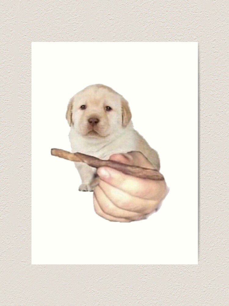 "Pass The Boof Dog Meme" Art Print for Sale by BoomerUSA | Redbubble