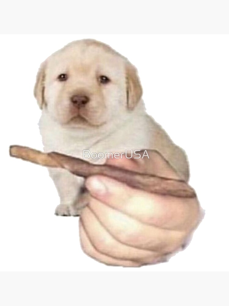 "Pass The Boof Dog Meme" Photographic Print by BoomerUSA | Redbubble