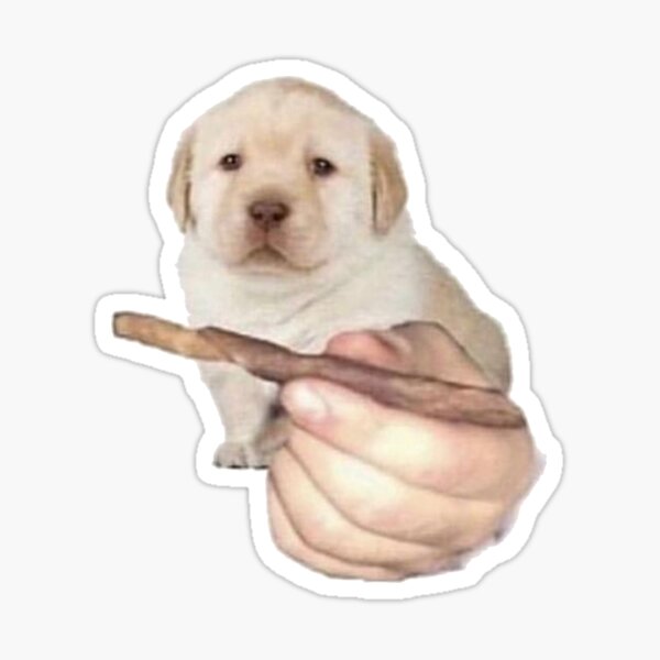 "Pass The Boof Dog Meme" Sticker for Sale by BoomerUSA | Redbubble