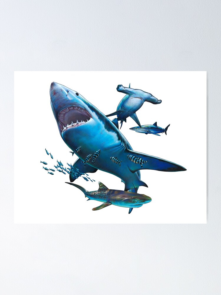 "Shark Collage" Poster for Sale by Salmoneggs | Redbubble
