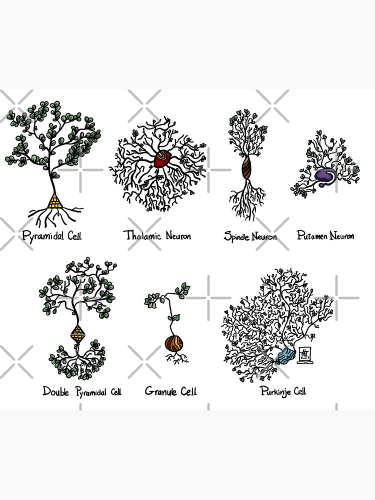 "Neuron Plant Buddies (for your Neurologist/Neurosurgeon friend ...