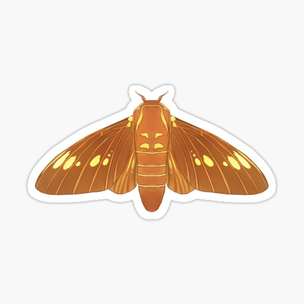 "Citheronia regalis (Regal Moth)" Sticker by Amerart | Redbubble