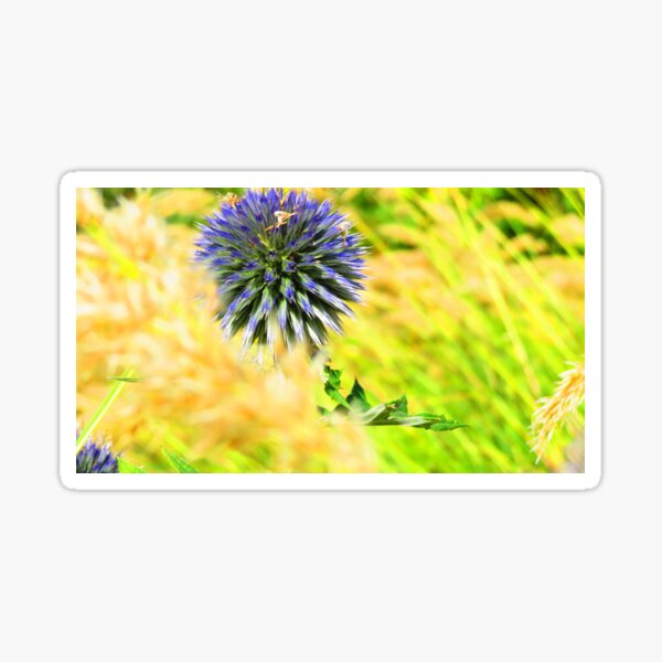 "Prickly and warm" Sticker for Sale by Kunterbuntes | Redbubble