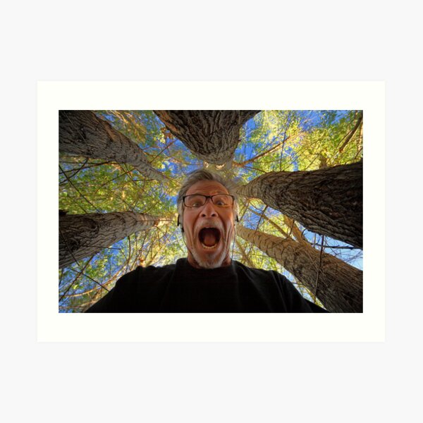 "Screaming Trees" Art Print by boblarsonphoto | Redbubble