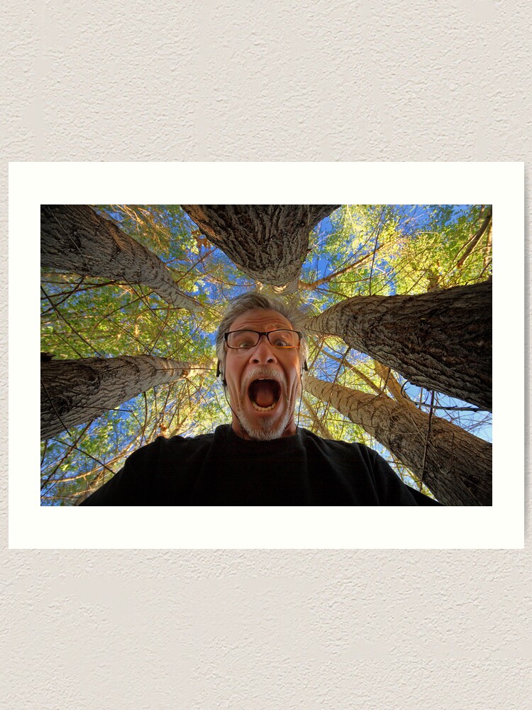 "Screaming Trees" Art Print by boblarsonphoto | Redbubble