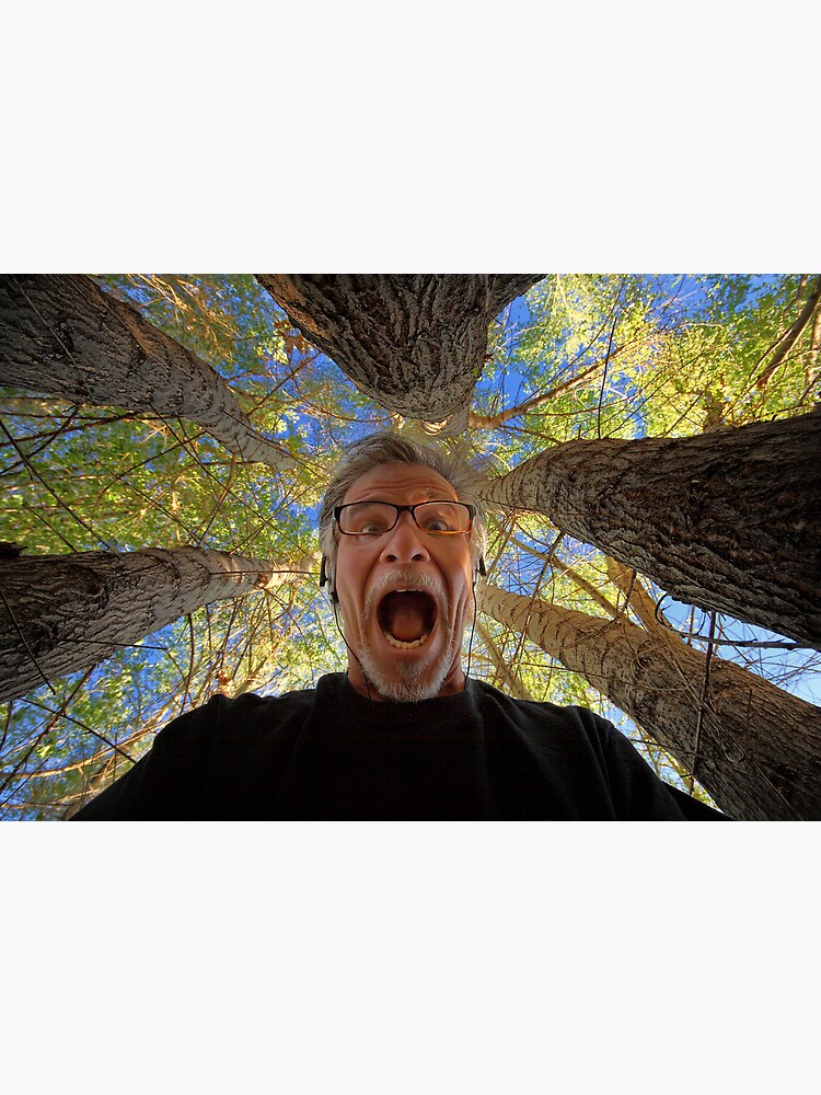 "Screaming Trees" Art Print by boblarsonphoto | Redbubble