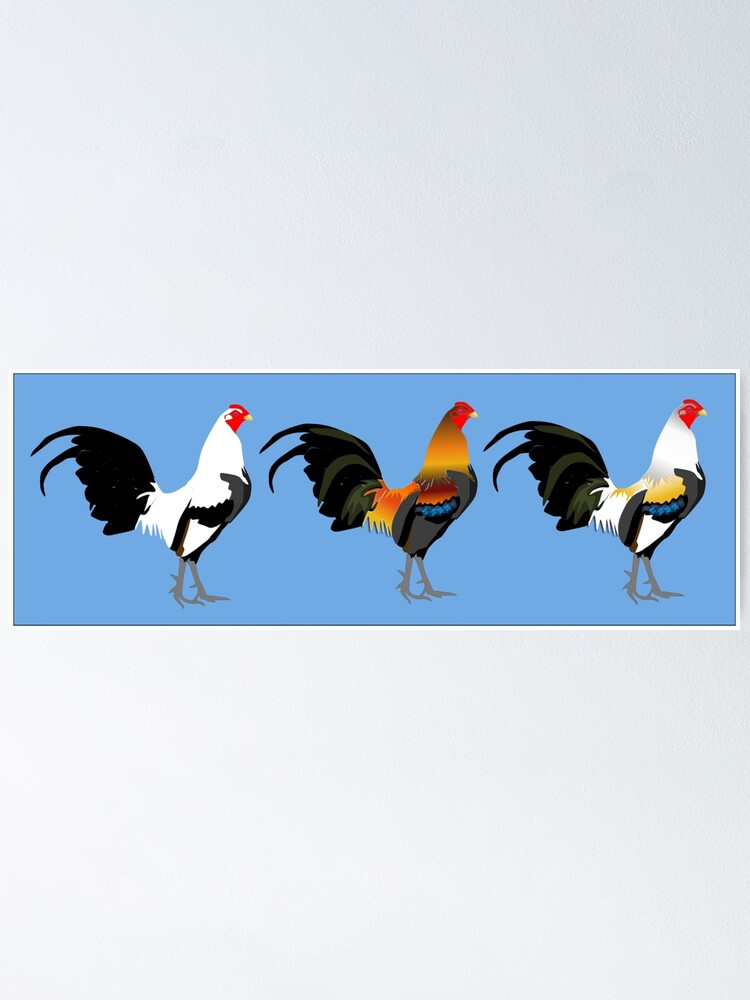 "3 Old English game fowl" Poster by Fozzyartsales | Redbubble
