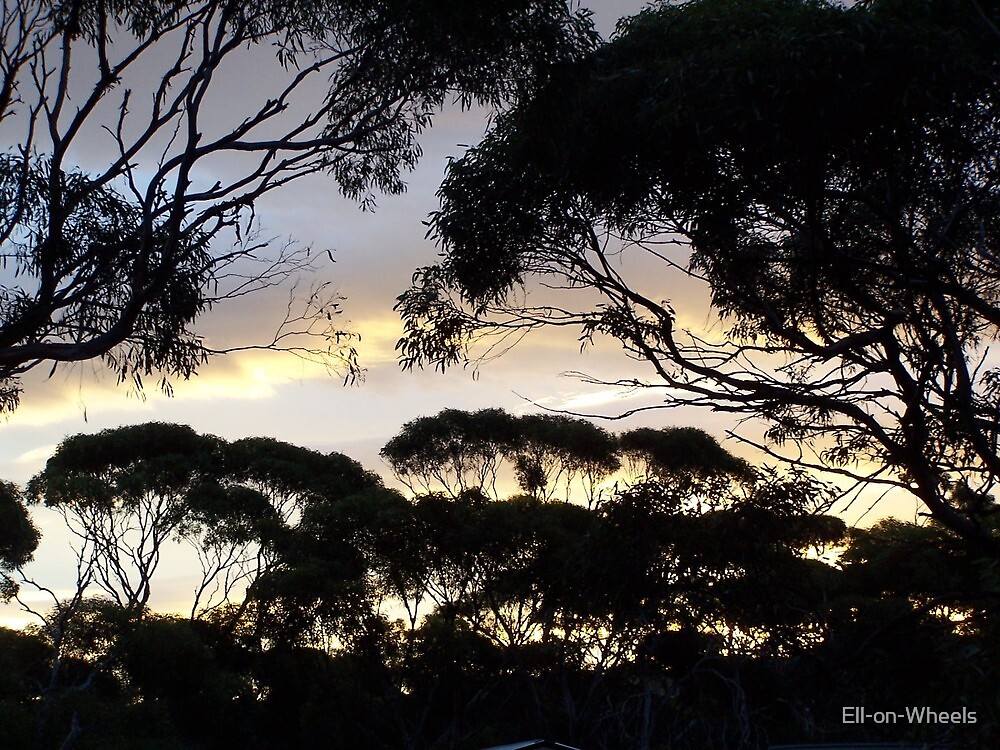 "Sunset, Madura Pass, WA" by Ell-on-Wheels | Redbubble