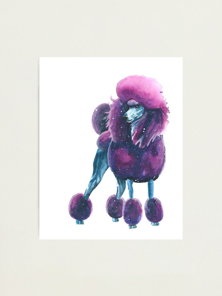 "Burgundy Galaxy Poodle" Photographic Print for Sale by christinareid ...