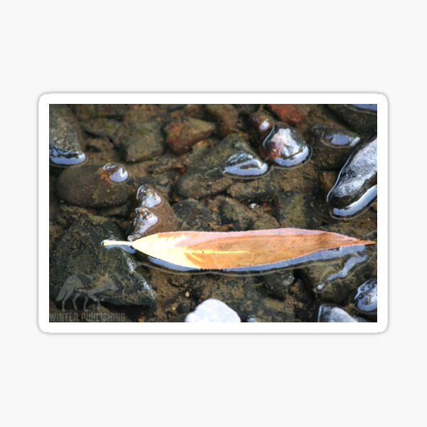 "Floating" Sticker by winterdragon101 | Redbubble