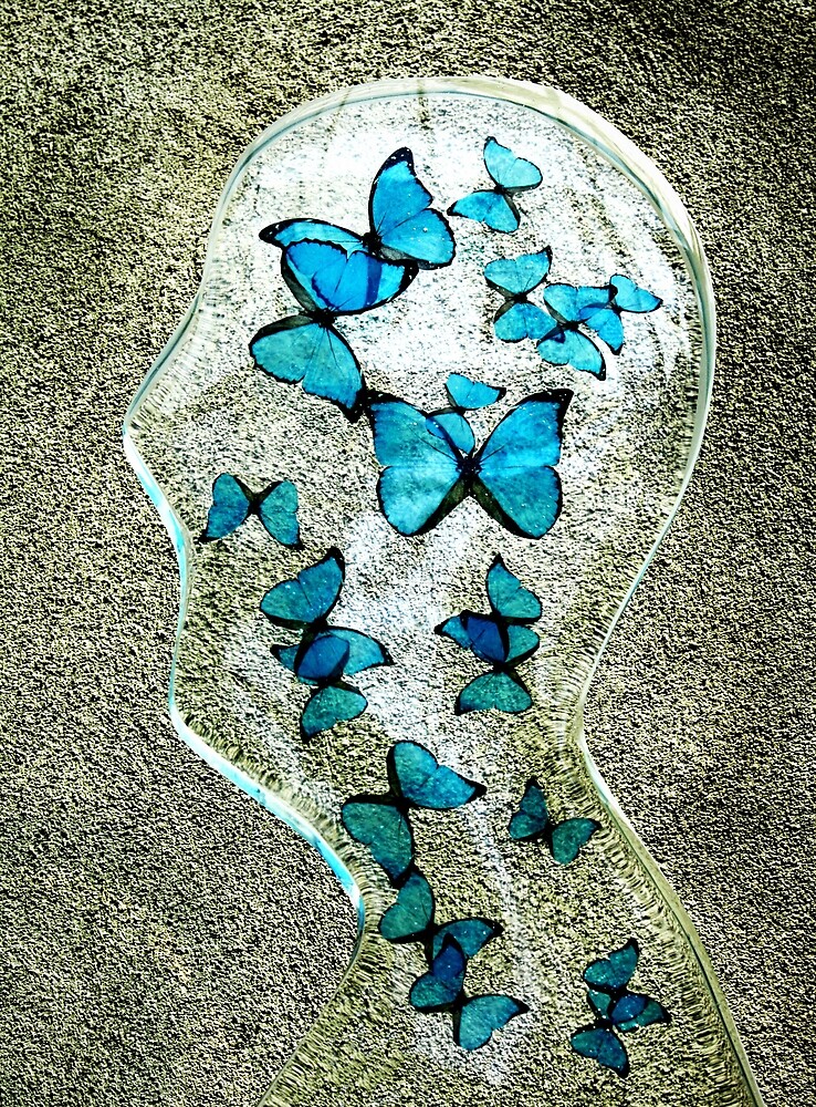 "Butterfly Brain" by Samantha Jones | Redbubble