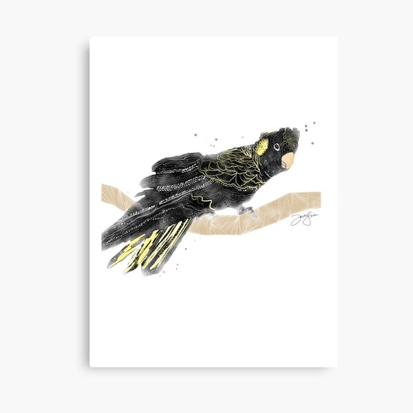 Australian Native Bird Wall Art | Redbubble